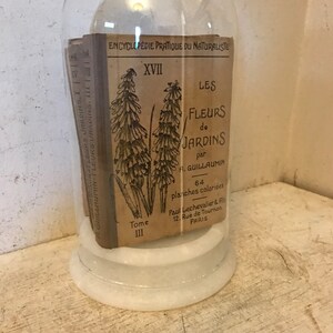 Antique French Book Botanical Garden Books Agricultural Agricultural ...