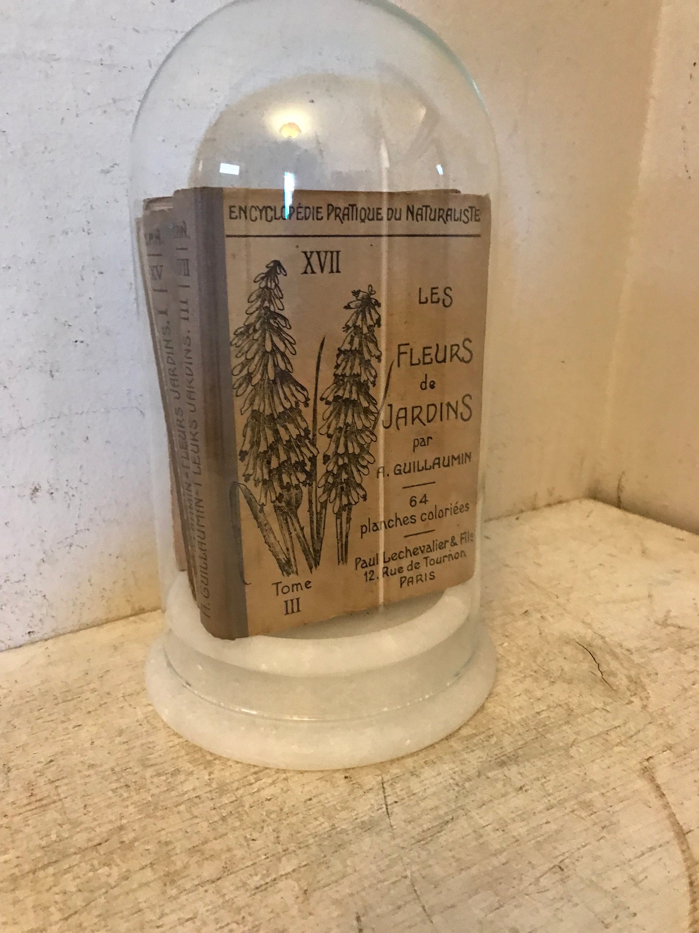 Antique French Book Botanical Garden Books Agricultural Agricultural ...