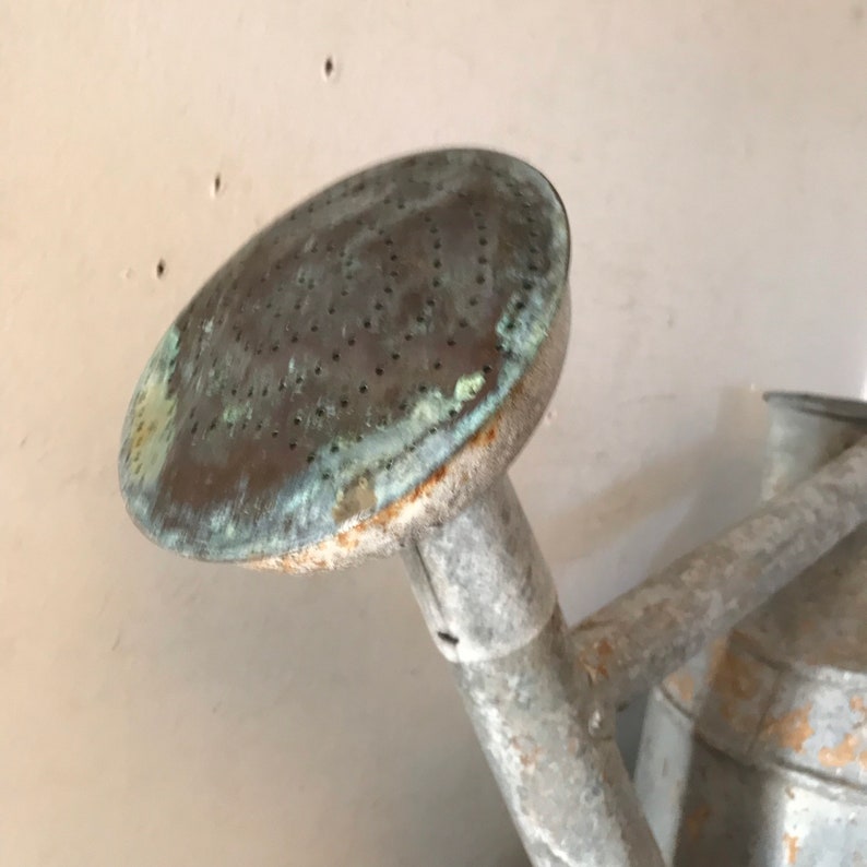 Antique French Watering Can France Zinc Copper Rosette Watering Can ...
