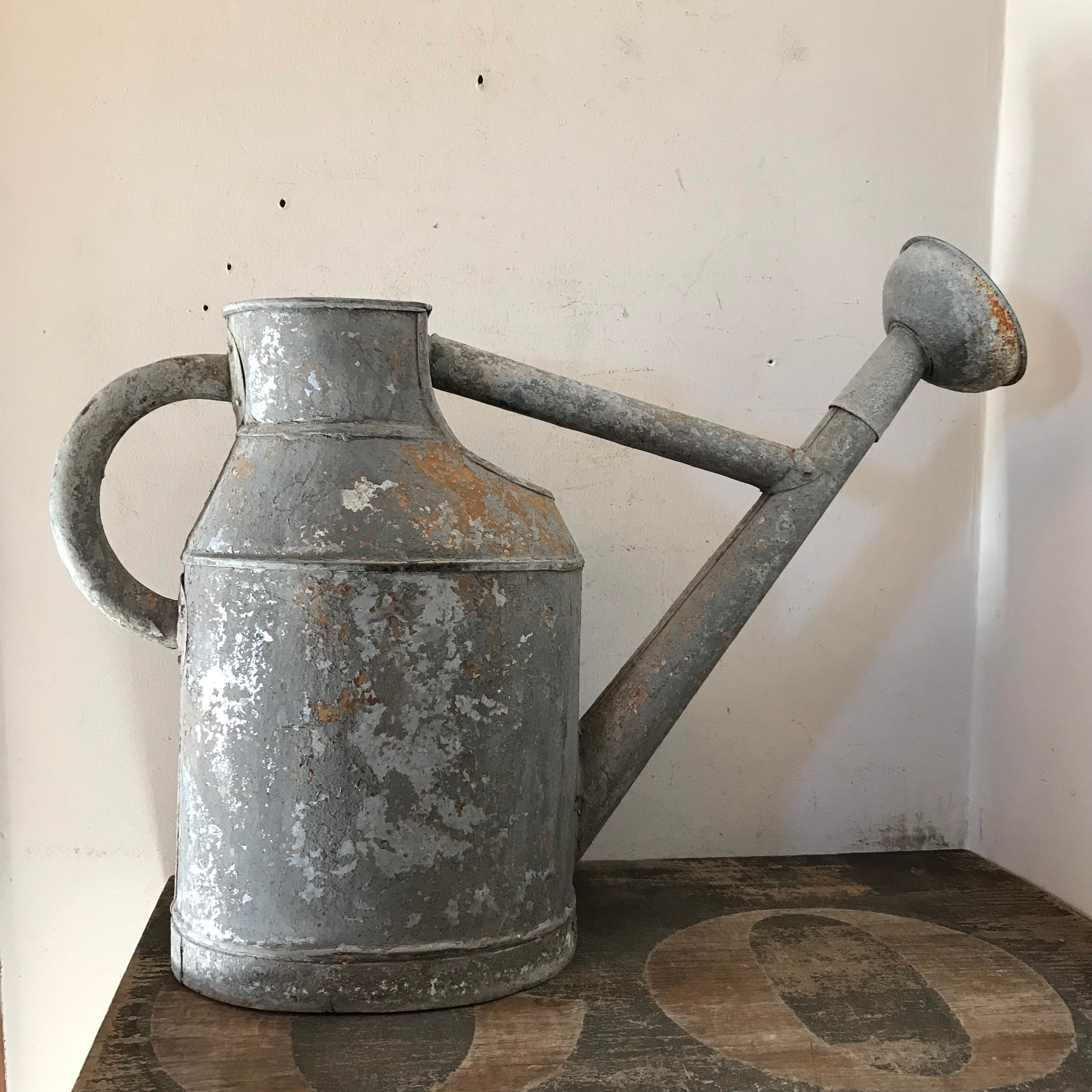Antique French Watering Can France Zinc Copper Rosette - Etsy
