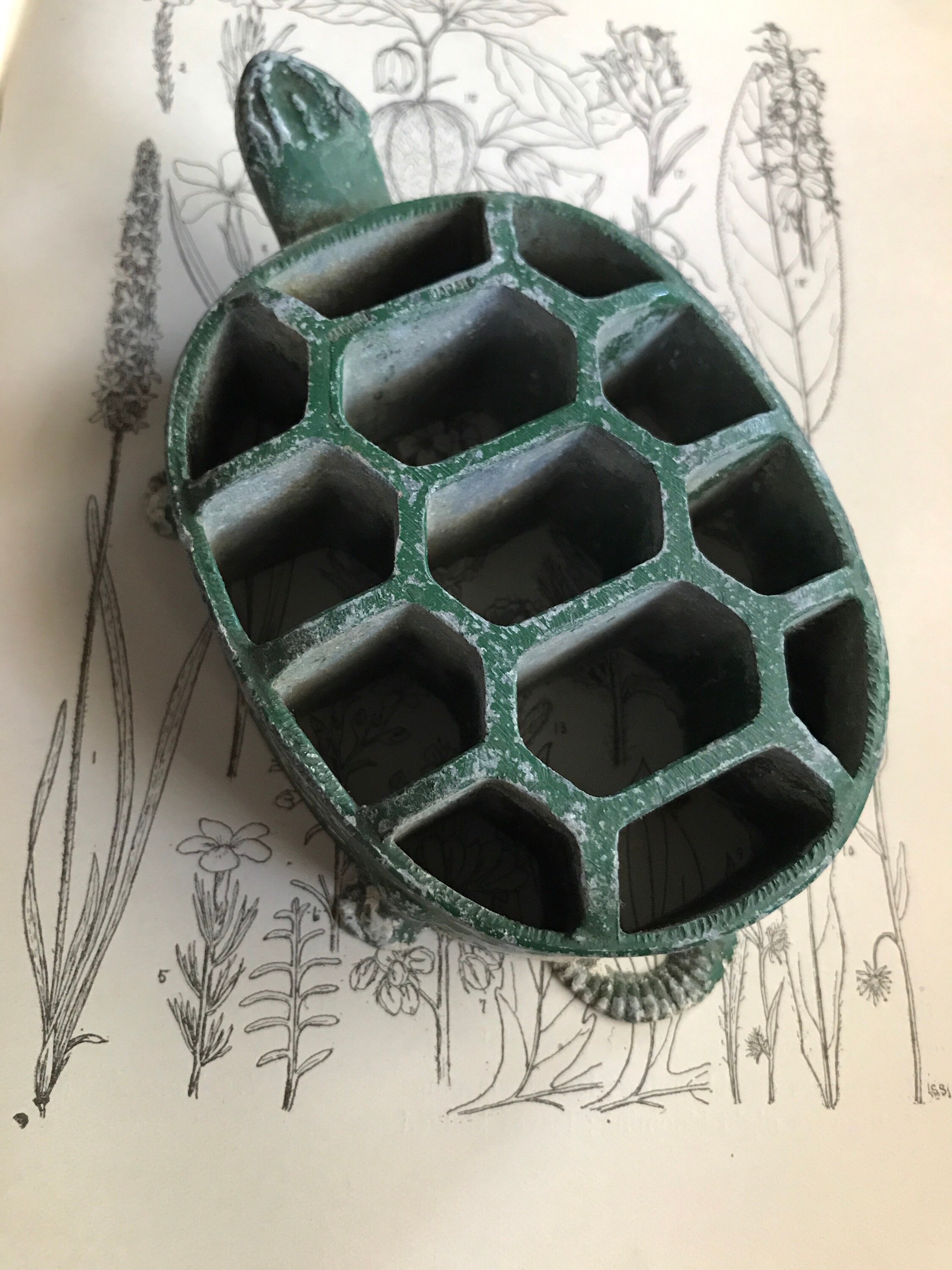 Antique Flower Frogs Turtle Metal Aesthetic Garden Ikebana Flower ...