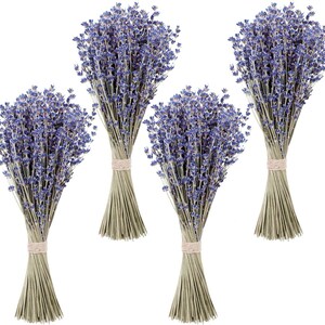 100% Natural Dried Lavender Bundles, 600 Stems 16-17 Inches for Home Fragrance and Decor ...