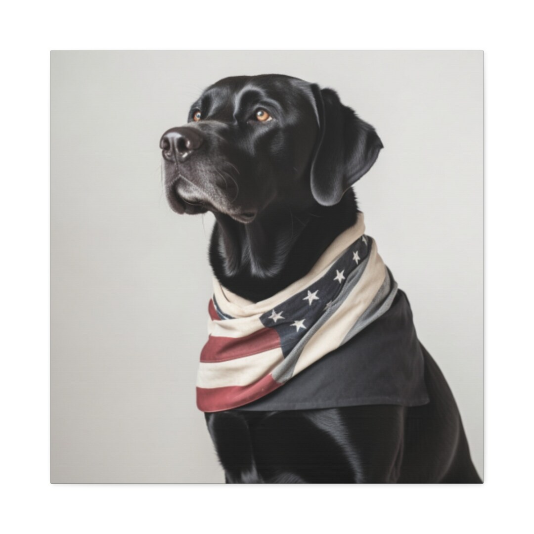 Black Labrador Retriever American Flag Patriotic Flag Art July 4th ...