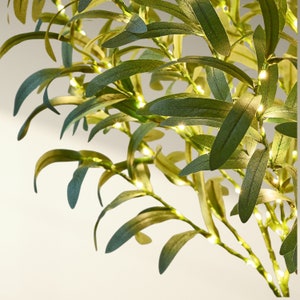 4FT Lighted Olive Tree 160 Warm White Leds, Perfect for Weddings ...