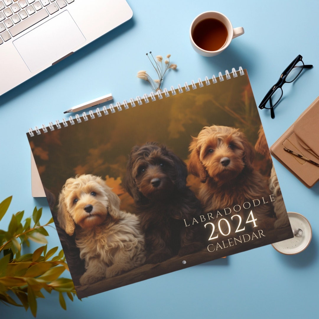 2024 Labradoodle Wall Calendar Labradoodle Lovers Gift - Etsy UK