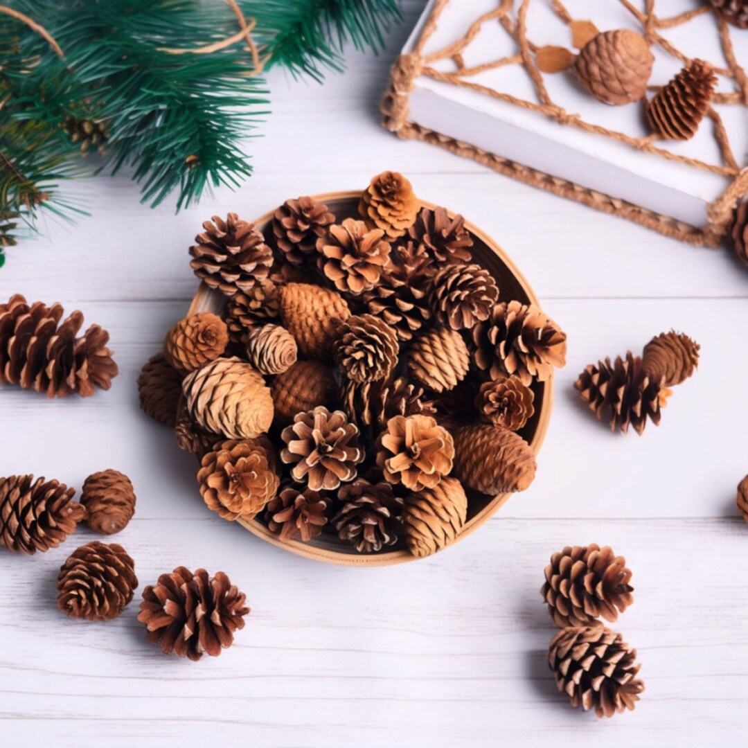 30-piece Natural Pine Cones Assortment, Rustic Pinecones for Christmas ...