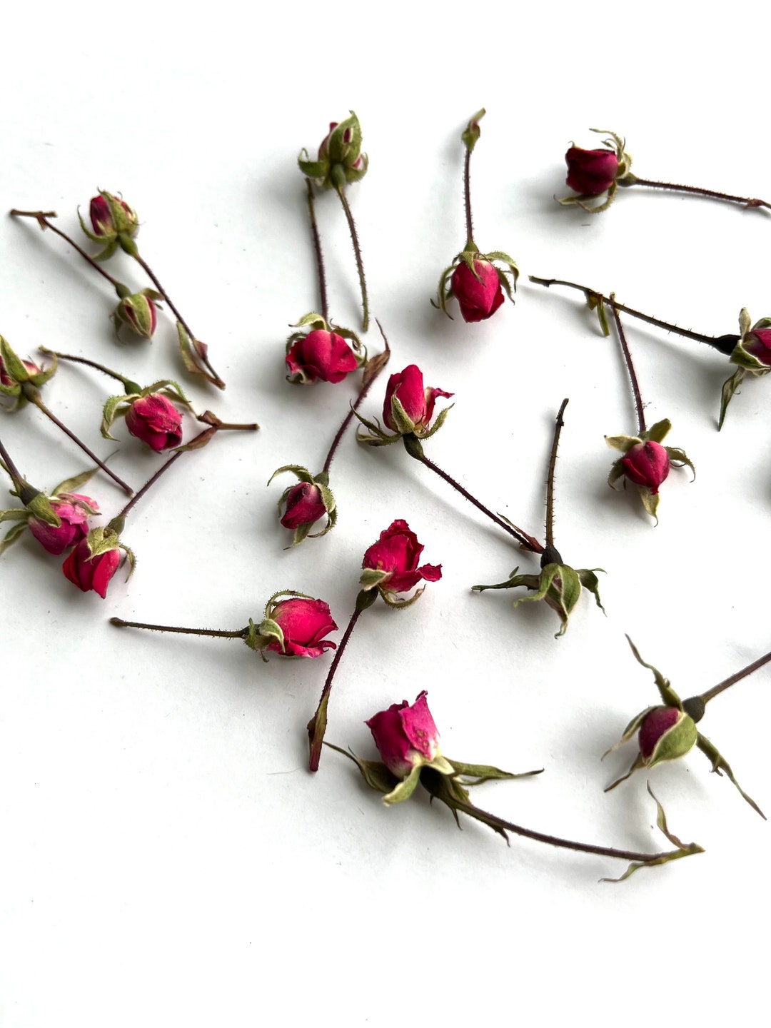20 Pcs Dried Small Flower Red Rose Buds Dried Flowers for - Etsy