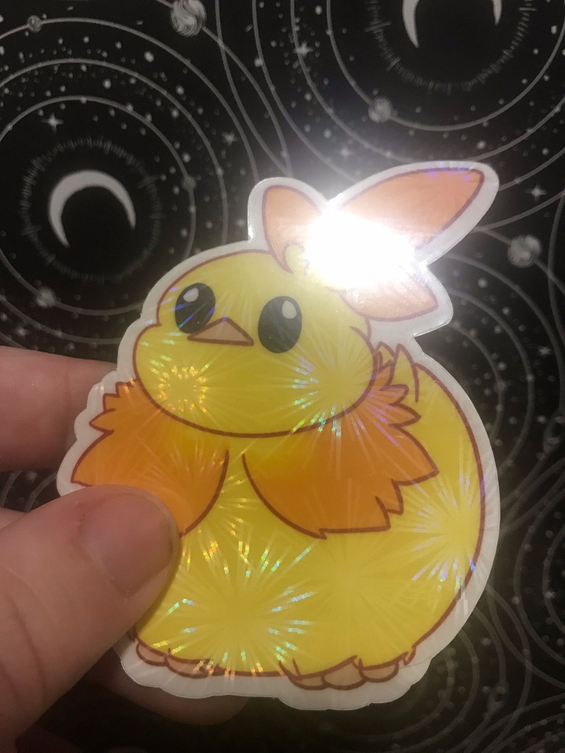 Gen 3 Pokemon Starter Stickers + Holographic Shiny Alts - Etsy