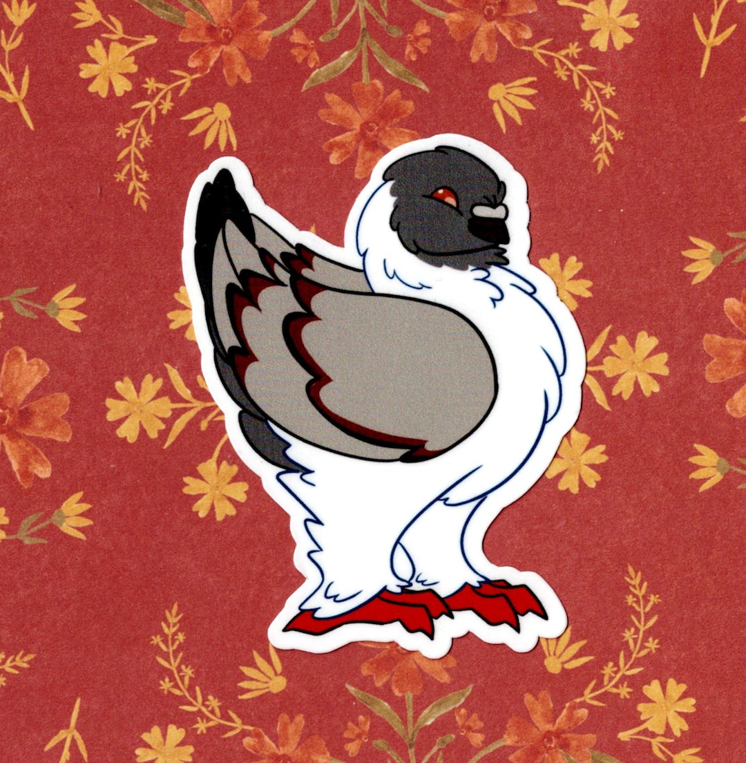Modena Pigeon Bird Cute Pets Vinyl Sticker - Etsy