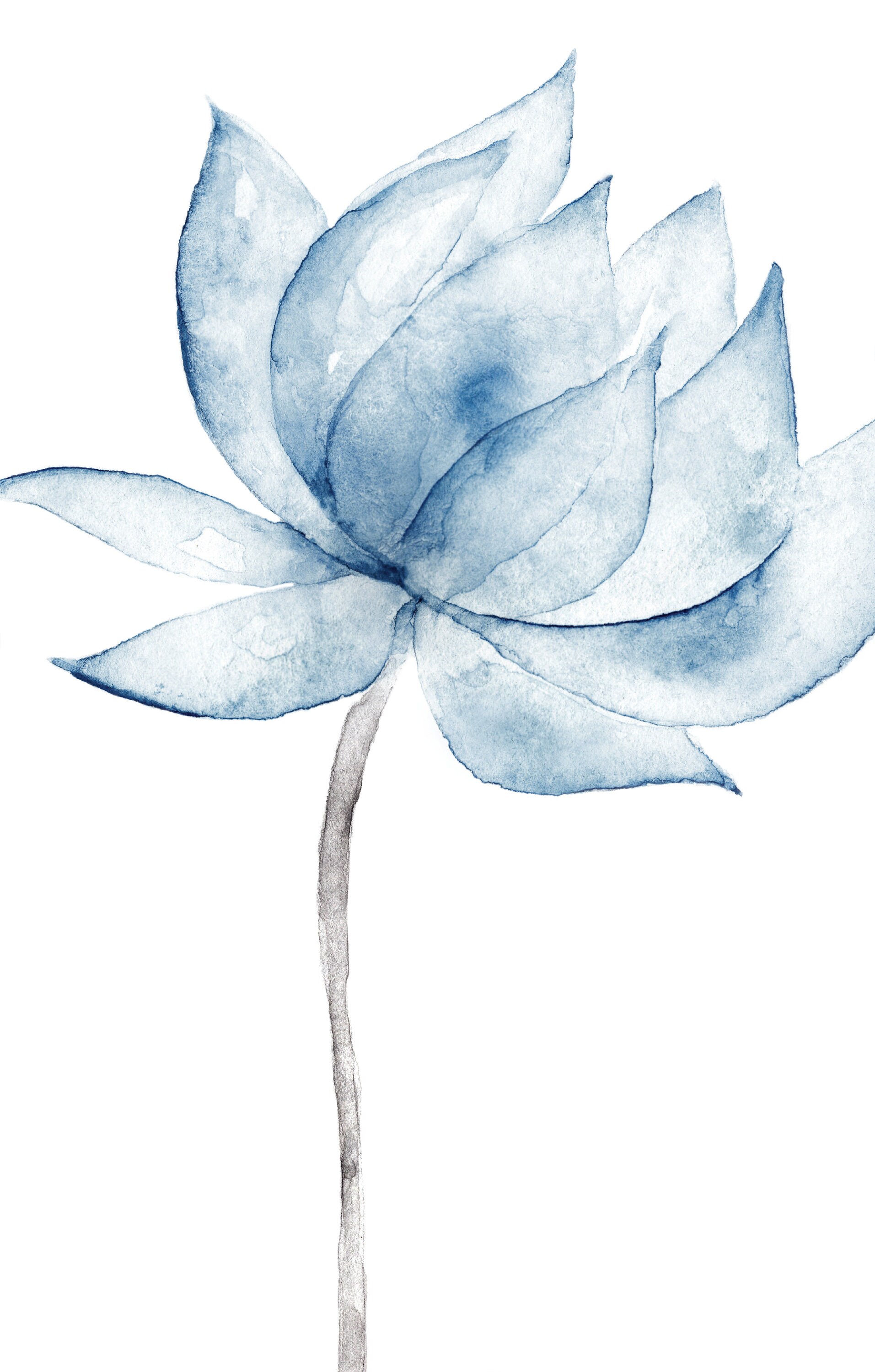 A Set of Two Navy Blue Lotus Watercolor Paintings - Etsy