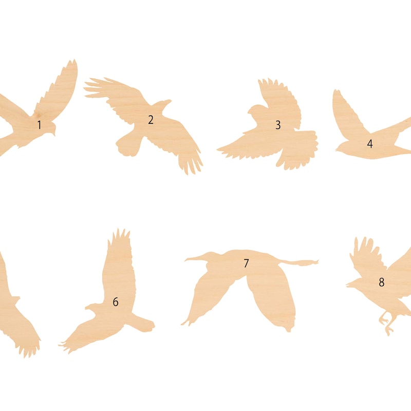 Bird Cutouts - Etsy