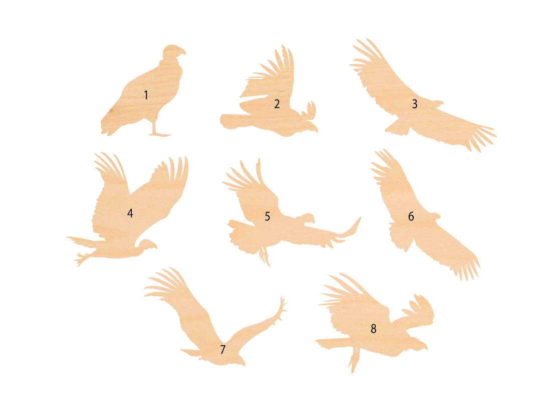 Unfinished Wooden Condor Craft Shape - Etsy