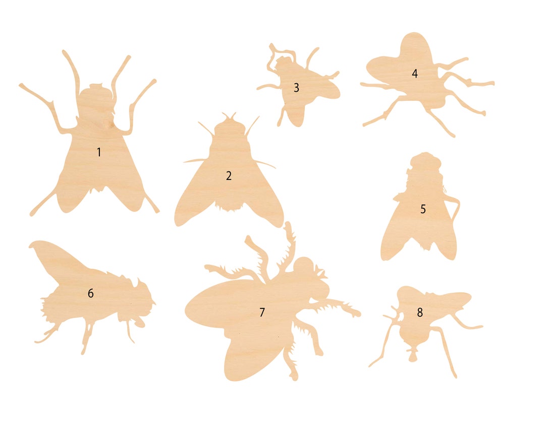 Fly Wood Shape Cutouts: Birch Silhouettes in Small to Large Sizes - Etsy