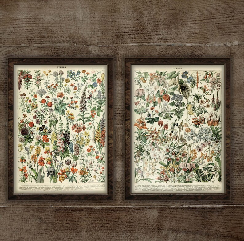 Vintage FRENCH Botanical Art Prints Set of Two Printable | Etsy