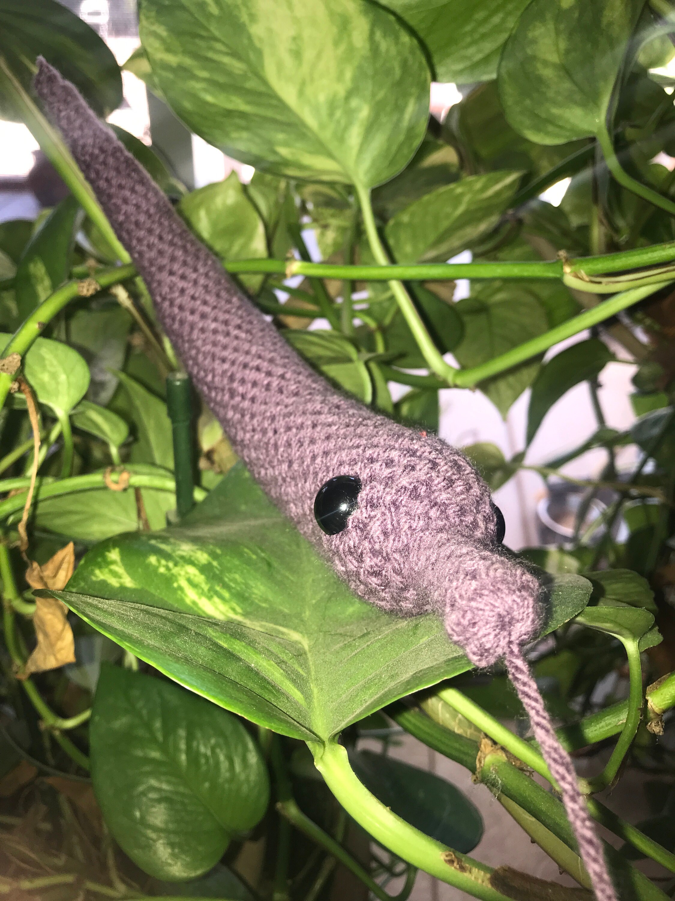 Doodle Worm on a String - Etsy