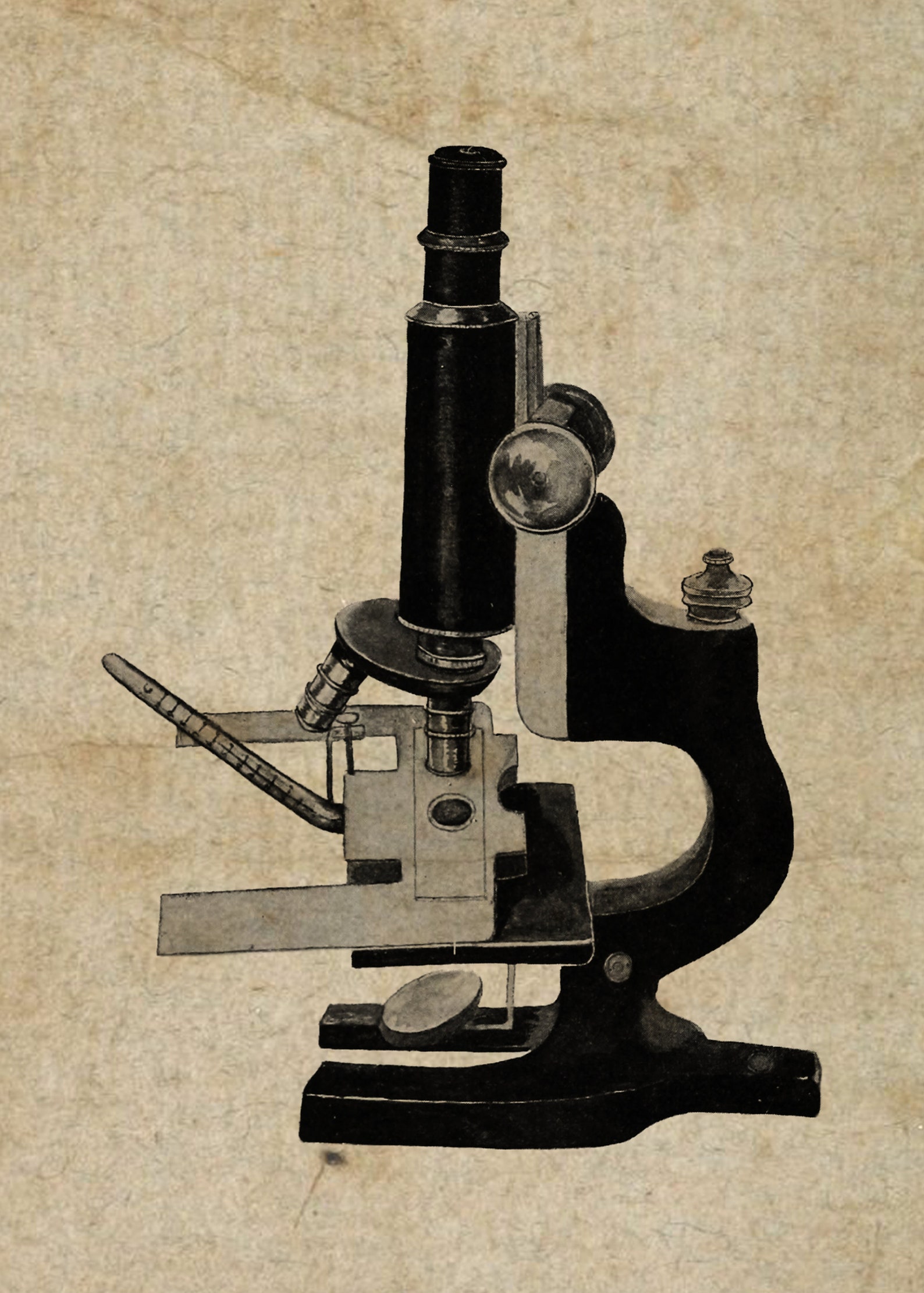 Vintage Rustic Laboratory Print Set Microscope Test Tubes - Etsy