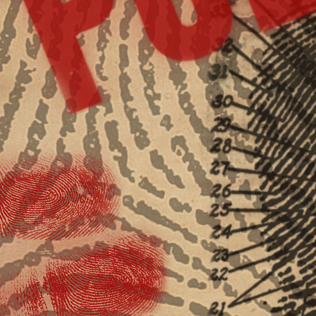 Murder Mystery Halloween Digital Paper - Instant Download - True Crime ...