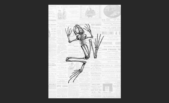 Instant Vintage Halloween Printable Frog Skeleton Dollar - Etsy