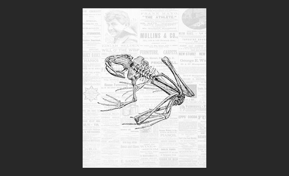 Instant Vintage Halloween Printable Frog Skeleton Dollar - Etsy