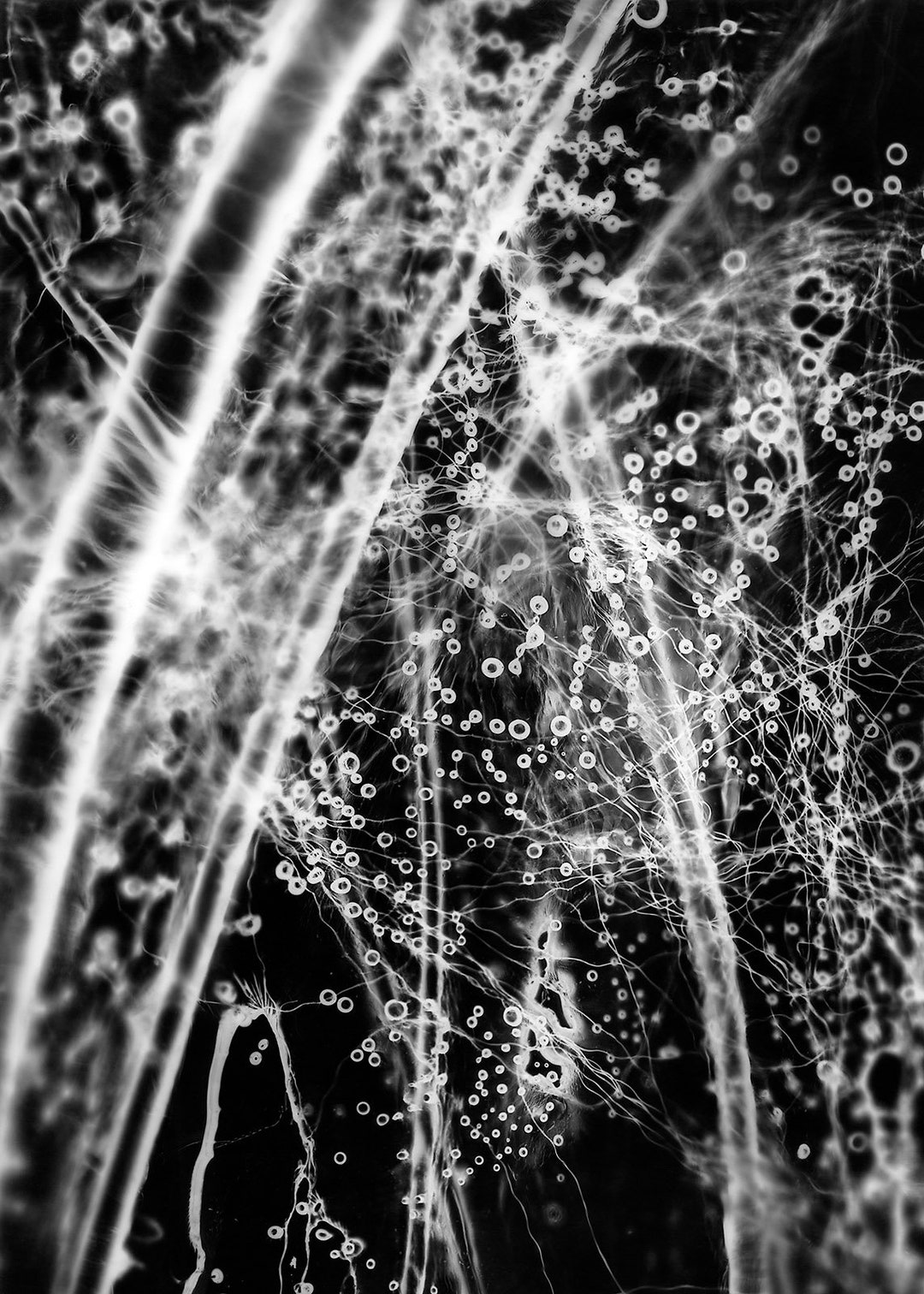 Shadow Drawing (B5) - Etsy