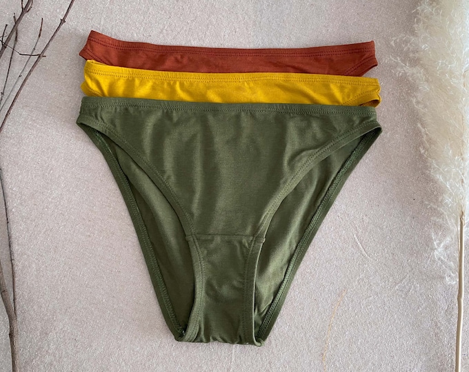 Limited Edition High Cut Panties Sustainable Bamboo Handmade In Usa