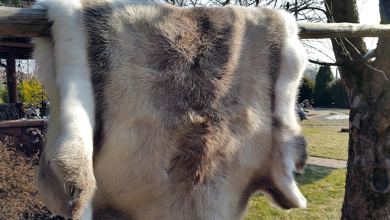 DX Natural XL Reindeerskin, Real Reindeerskin , 100% Leather !!!1 - Etsy