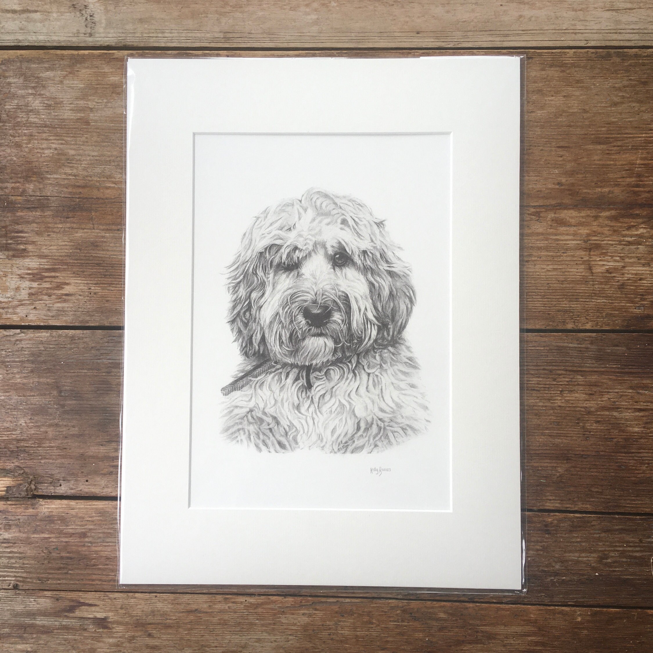 Cockapoo Mounted Print Hand-drawn Pencil Sketch UK Artist - Etsy UK