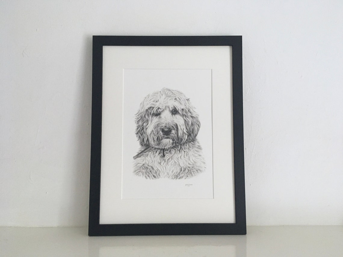 Cockapoo Mounted Print Hand-drawn Pencil Sketch UK Artist - Etsy UK
