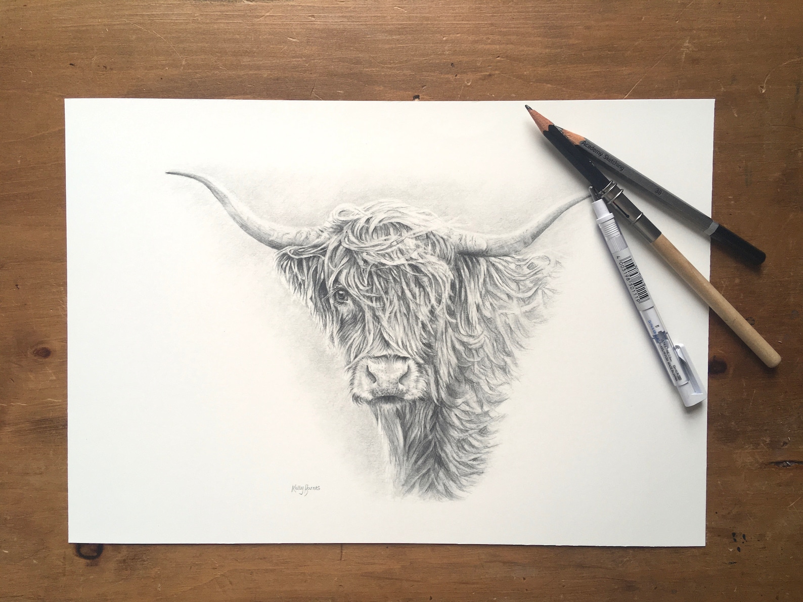 Highland Cow Digital Art | Hand-drawn Pencil Sketch | Downloadable ...
