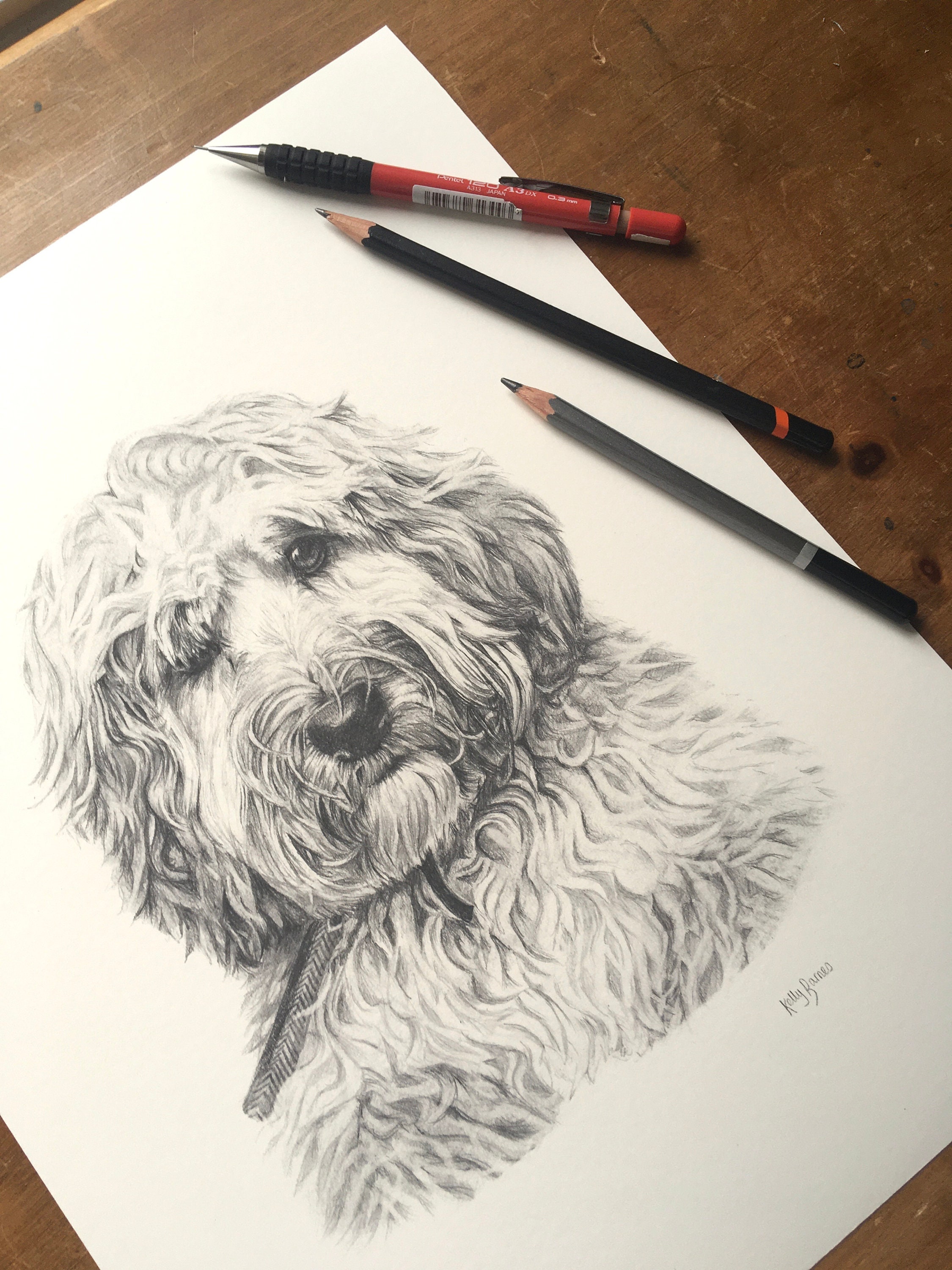 Cockapoo Mounted Print Hand-drawn Pencil Sketch UK Artist - Etsy UK