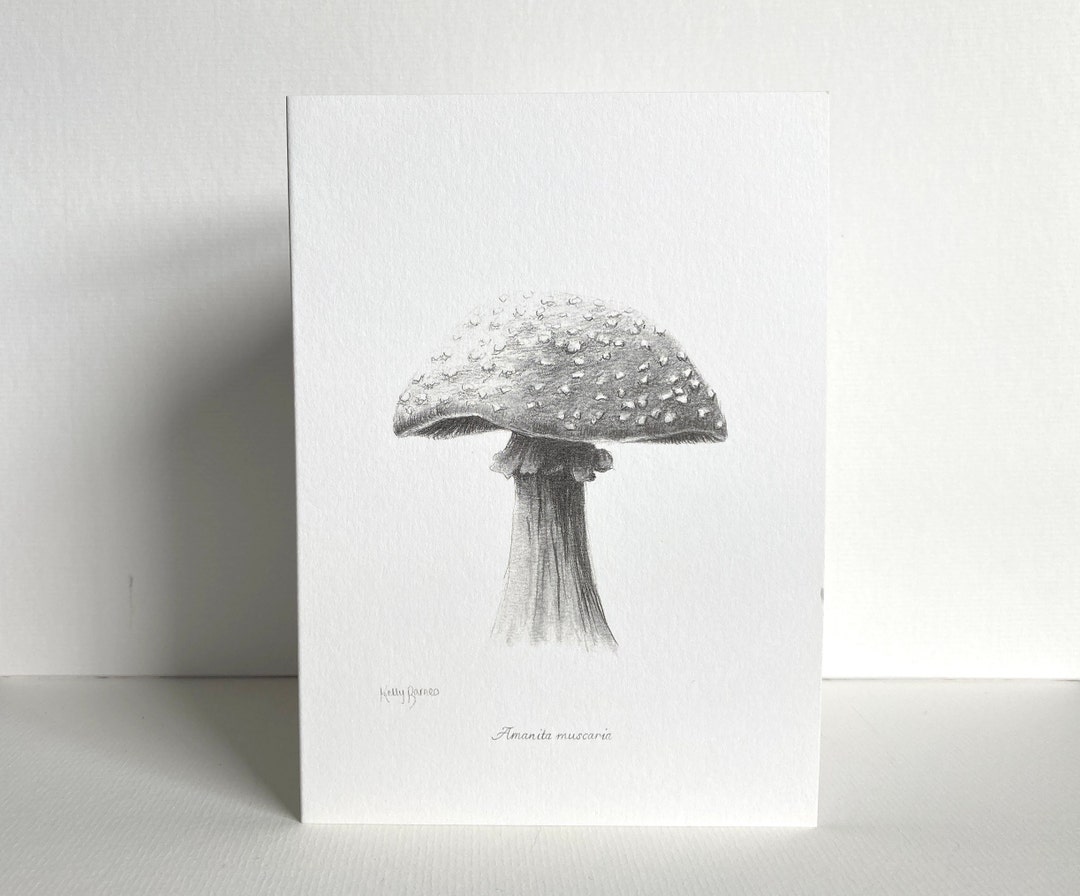 Toadstool Greeting Card | Botanical Drawing | Hand-drawn Pencil Sketch ...