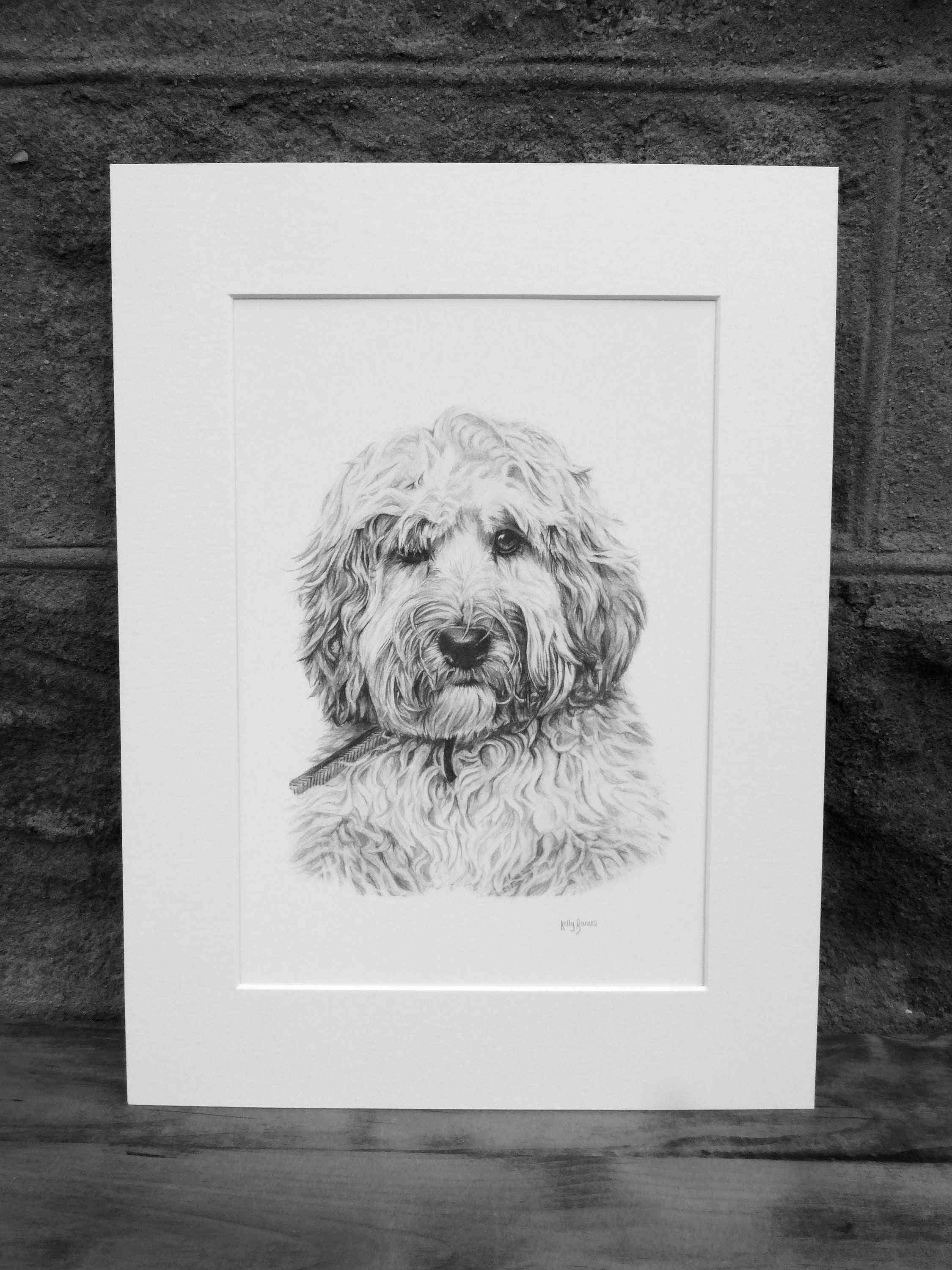 Cockapoo Mounted Print Hand-drawn Pencil Sketch UK Artist - Etsy UK