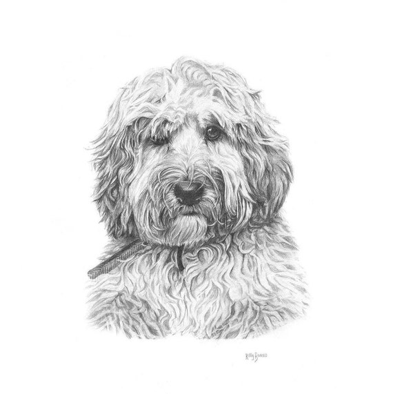 Cockapoo Mounted Print Hand-drawn Pencil Sketch UK Artist - Etsy Singapore