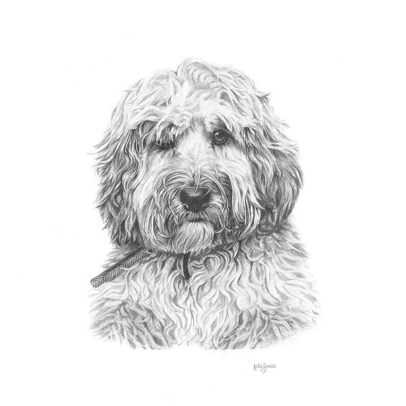 Cockapoo Mounted/matted Print Hand-drawn Pencil Sketch UK | Etsy