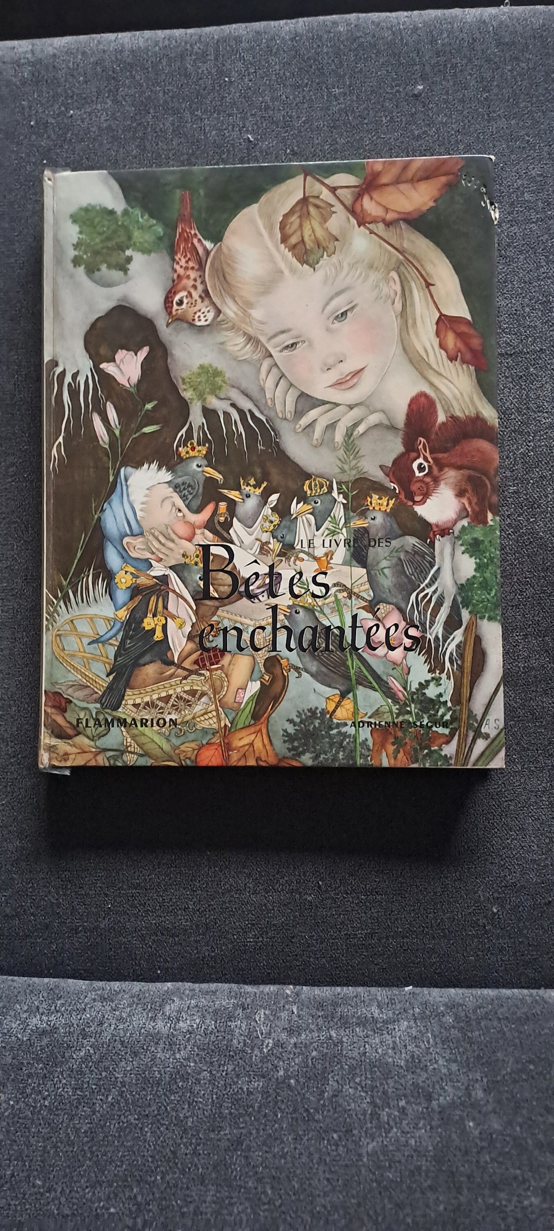 Flammarion Children's Book Tales of Enchanted Beasts / France Library ...