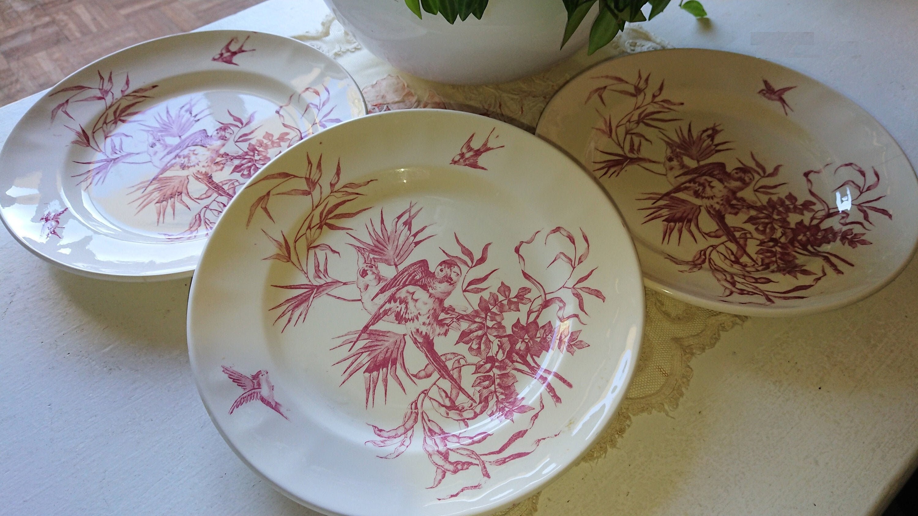 Longchamps Faience Plates France XIX Terre De Fer / Congo Aras - Etsy