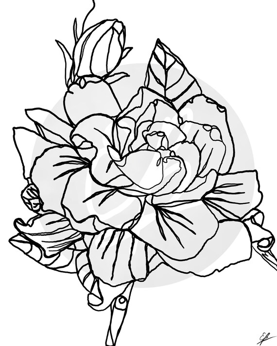 Gardenia Line Drawing