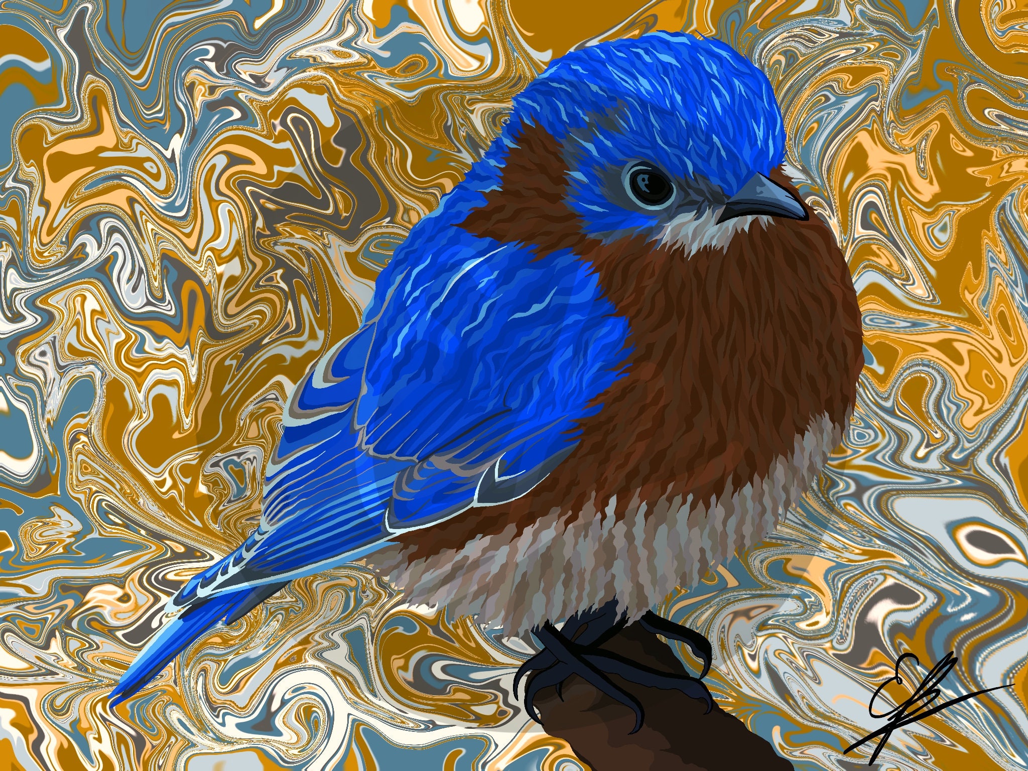 Bluebird Bird Art Print | Printable Wall Art | Bird Art | Nature ...