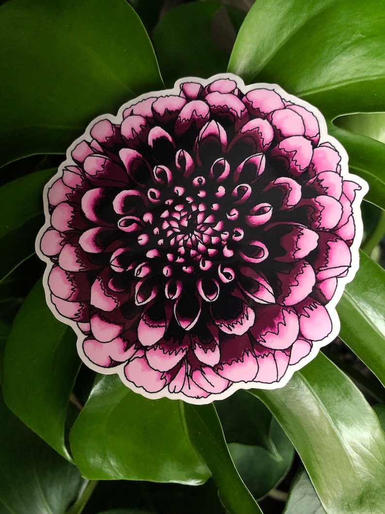Dahlia Flower Vinyl Sticker | Glossy Die-cut Sticker | Weatherproof ...