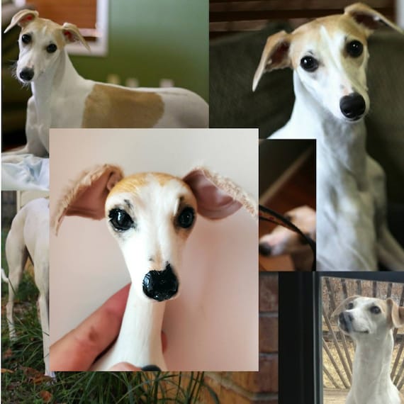 Whippet Italian Greyhound Mix