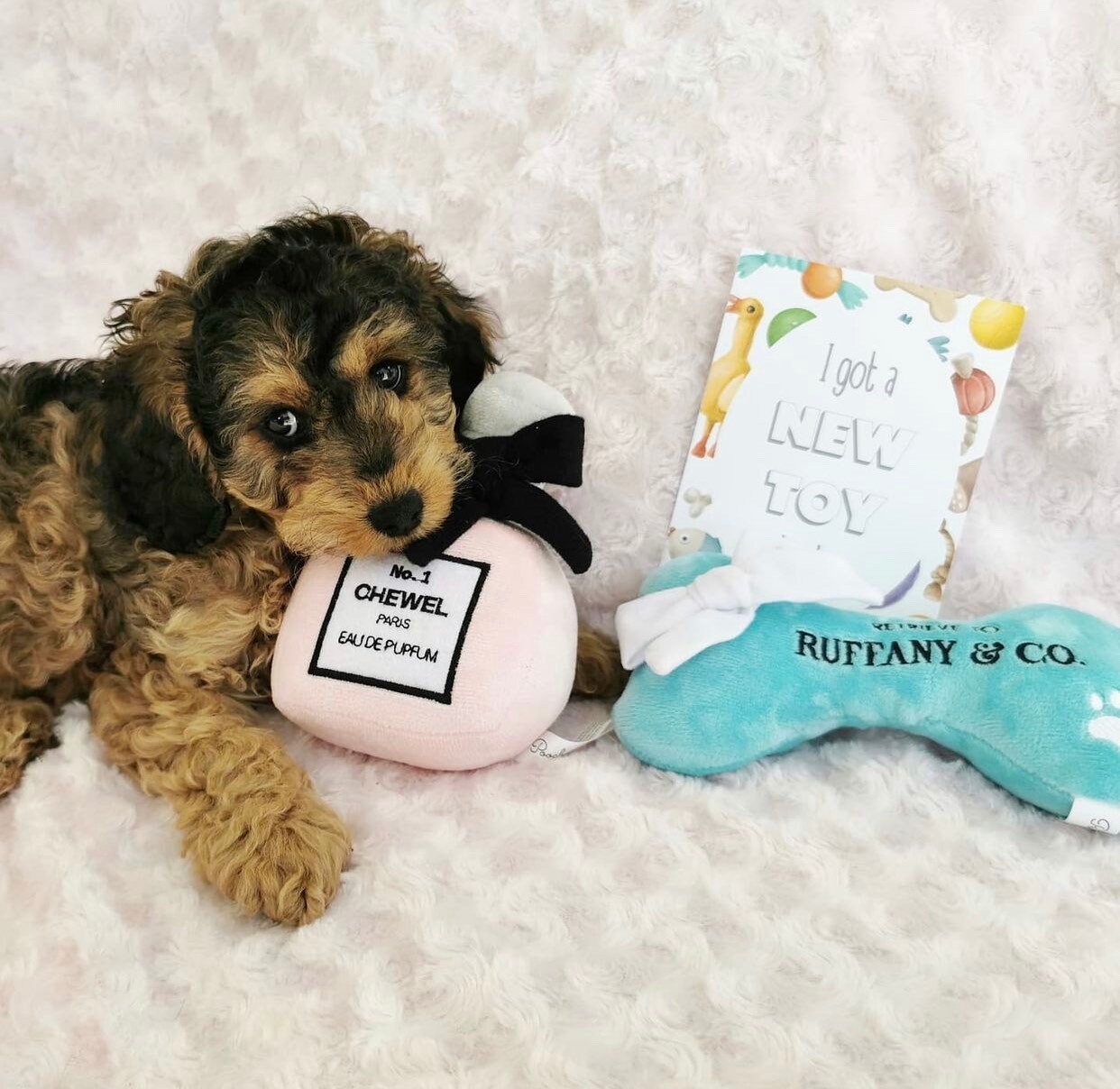 Puppy Milestone Cards Dog Milestones New Puppy Gift Dog - Etsy UK