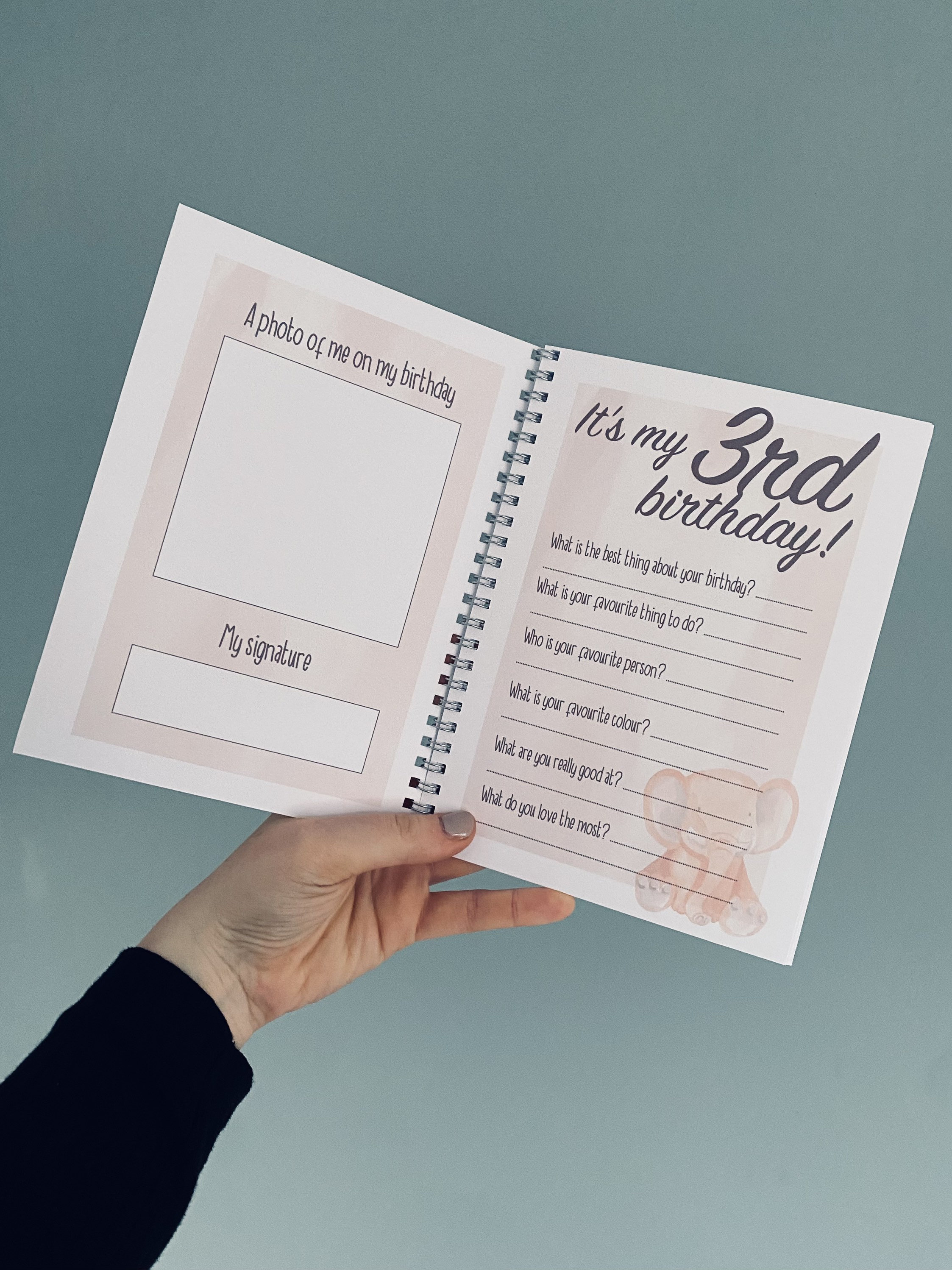 Boho Birthday Interview Book, Birthday Memories Book, First Birthday ...