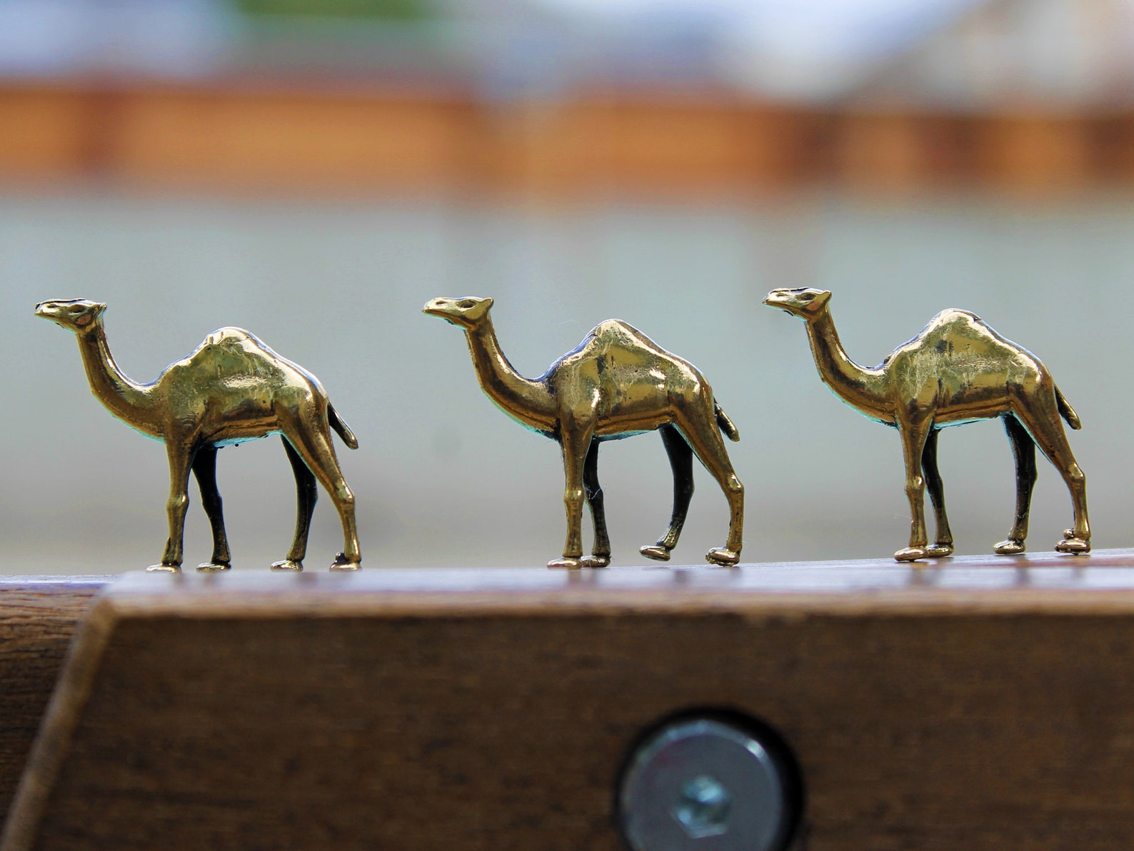 Camel Brass Small Animal Sculpture Handmade Collectible | Etsy