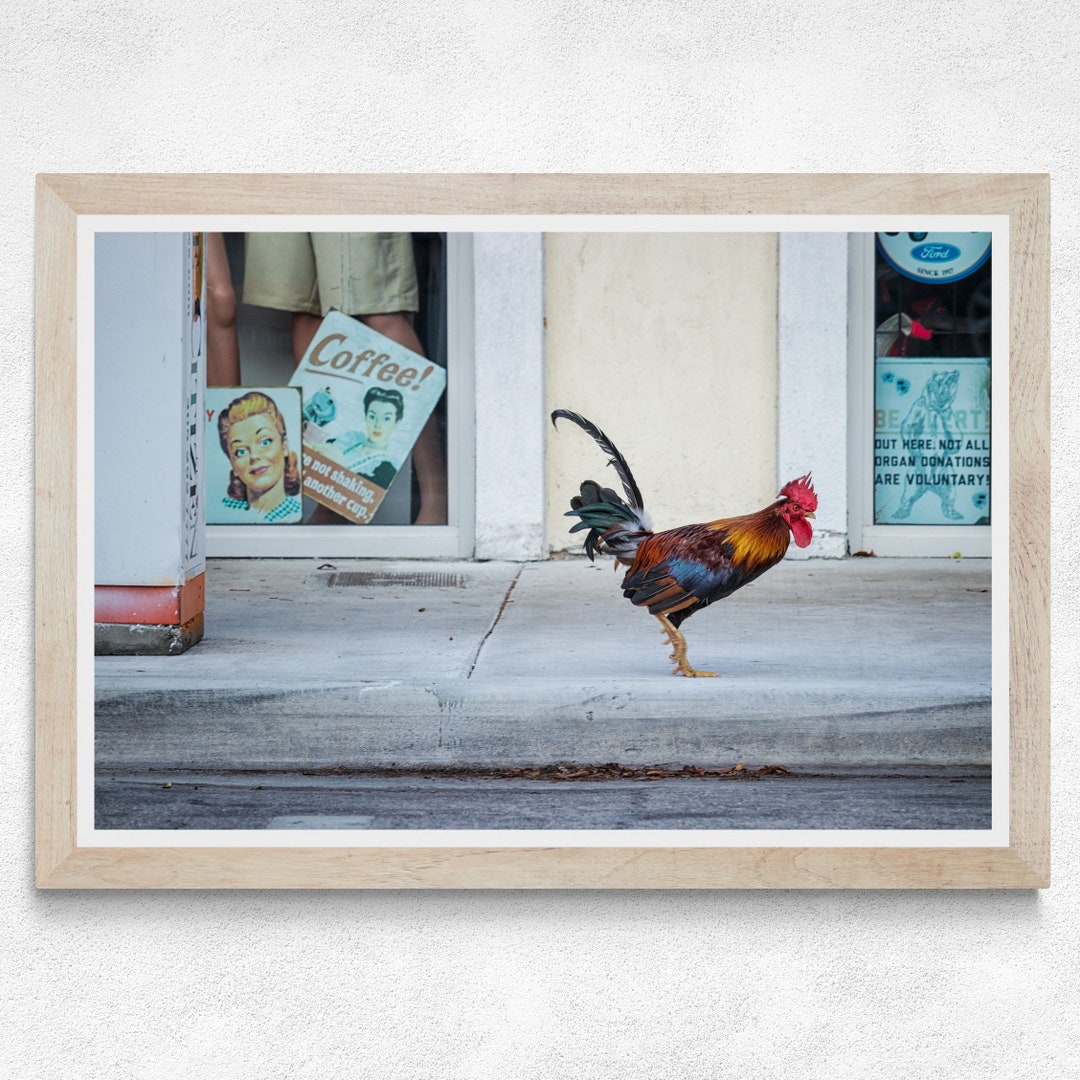 Key West Rooster Print: Florida Keys Coastal Photography - Etsy