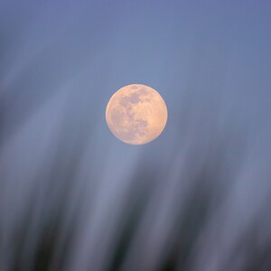 Moon Art Print | Minimalist Photo | Modern Moon Picture | Wall Decor - Etsy