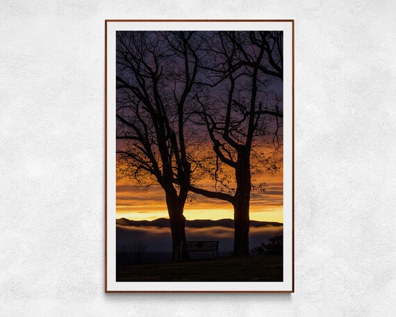 Tree Silhouette Art Trees Wall Art Sunset Nature Print | Etsy