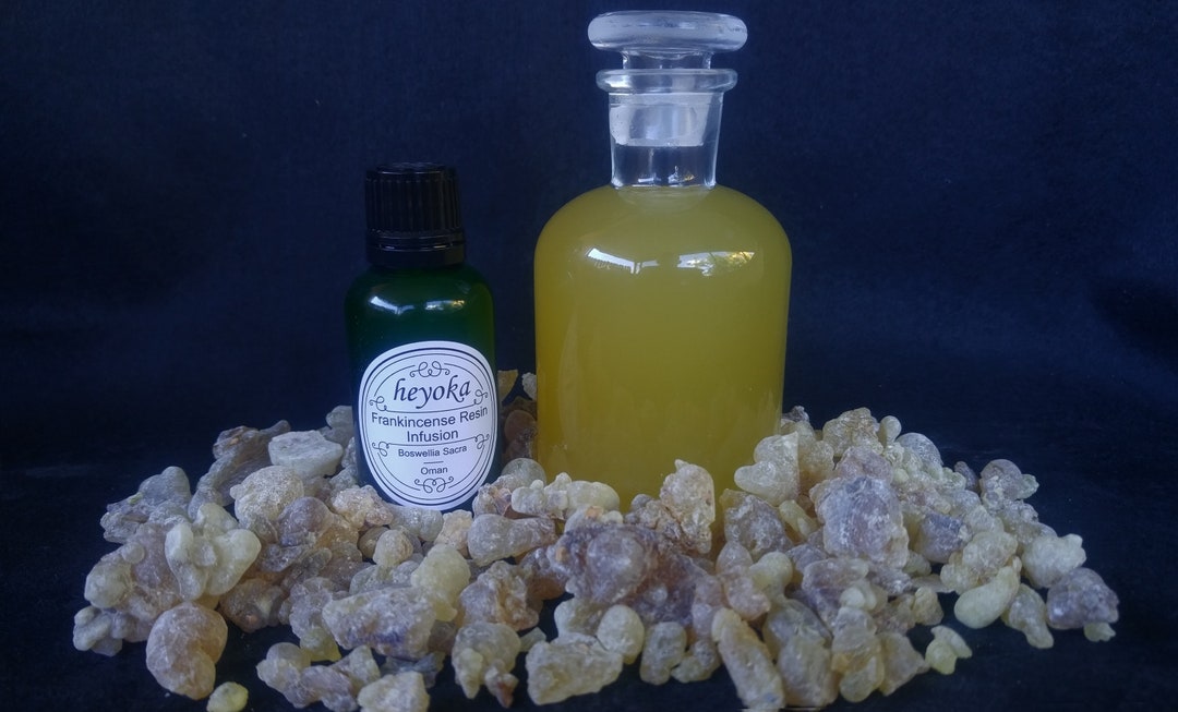 Frankincense Sacra Infusion ,frankincense Resin Oil Extraction ...