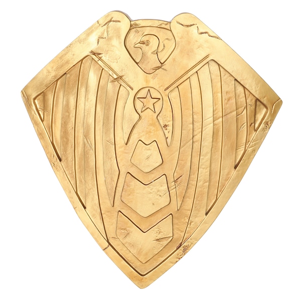 Soldier Boy Shield - Etsy