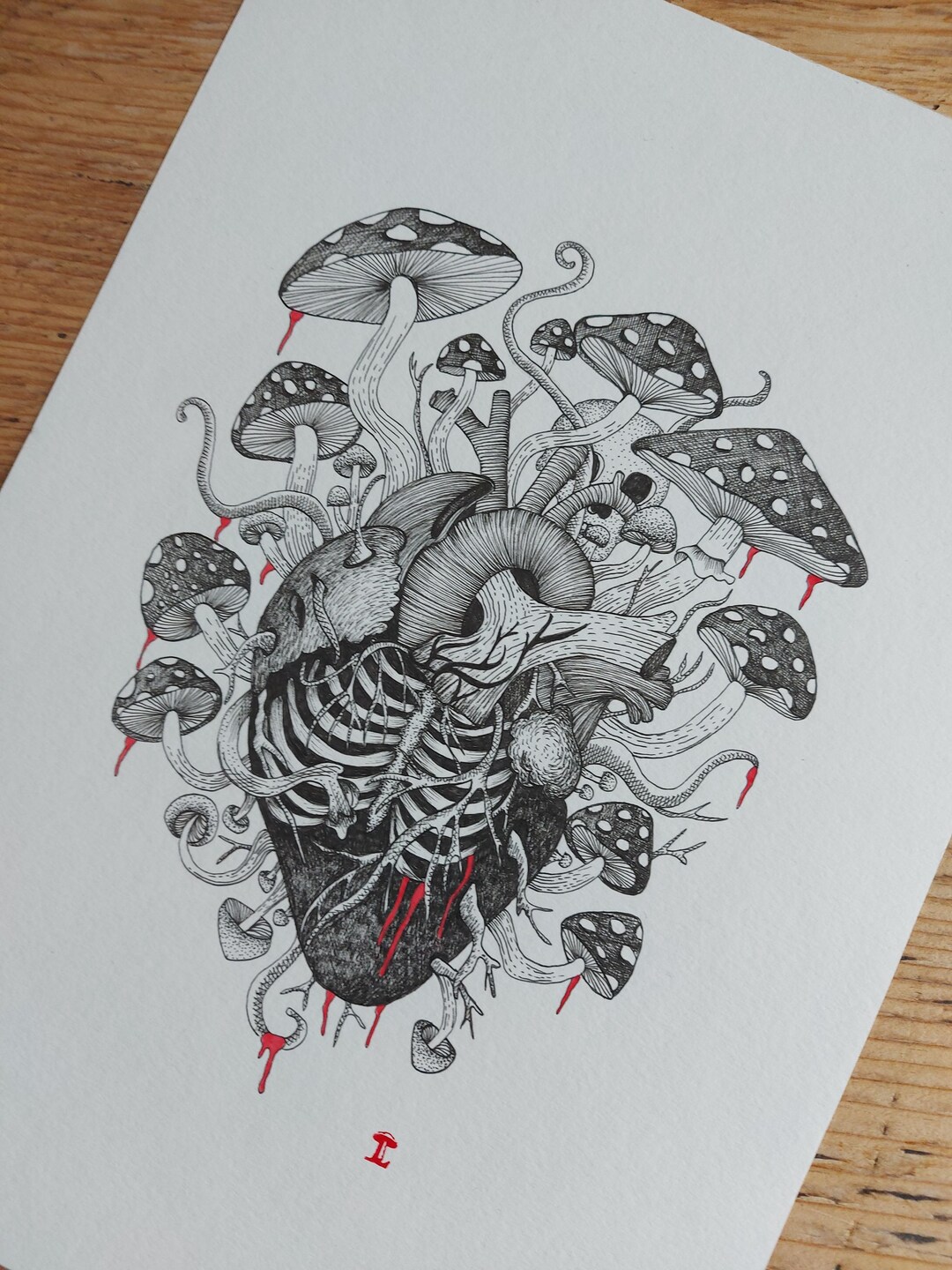 Anatomical Heart Ink Drawing, A4 Mushroom Art Print - Etsy