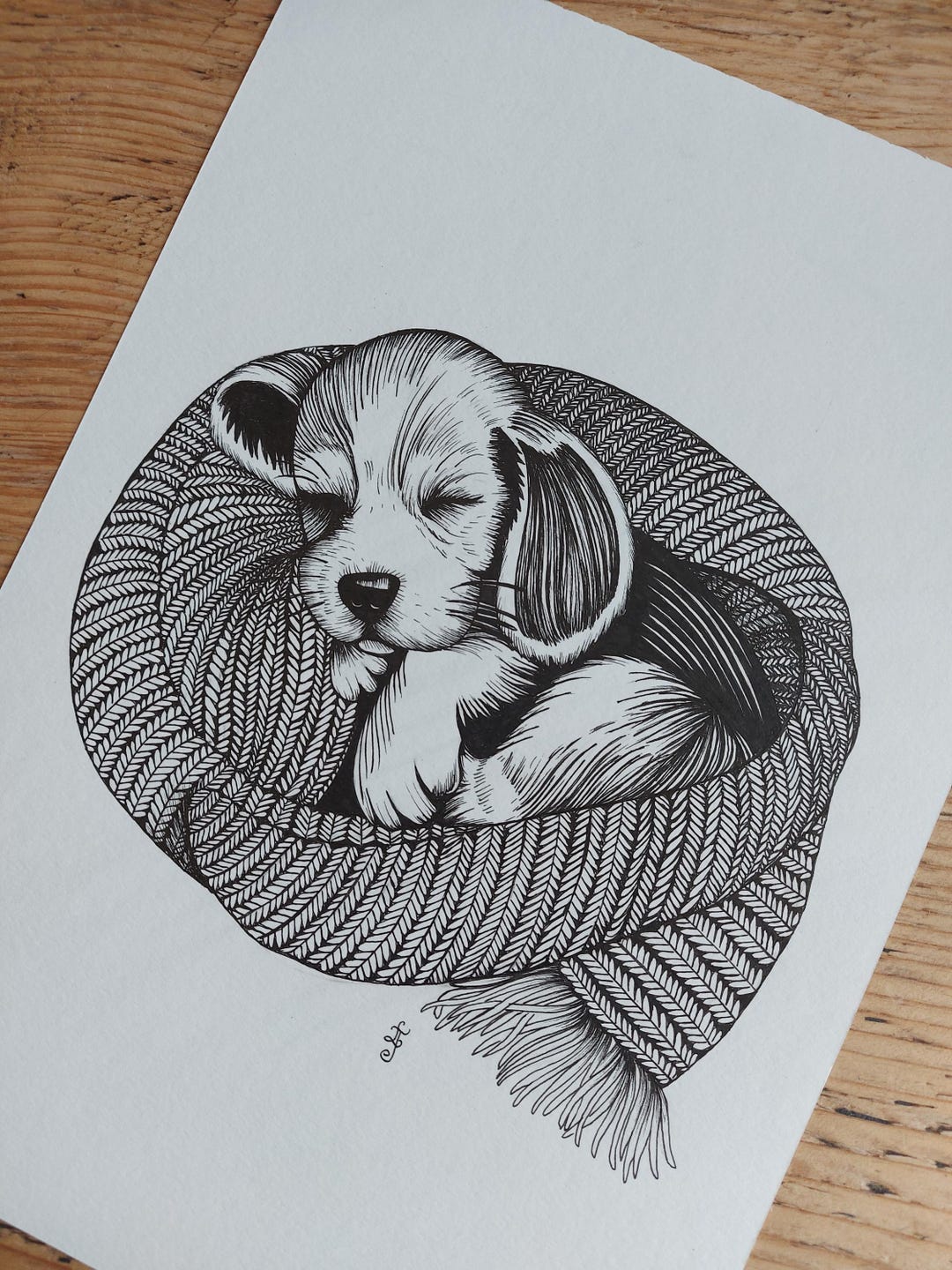 Beagle Star - Etsy